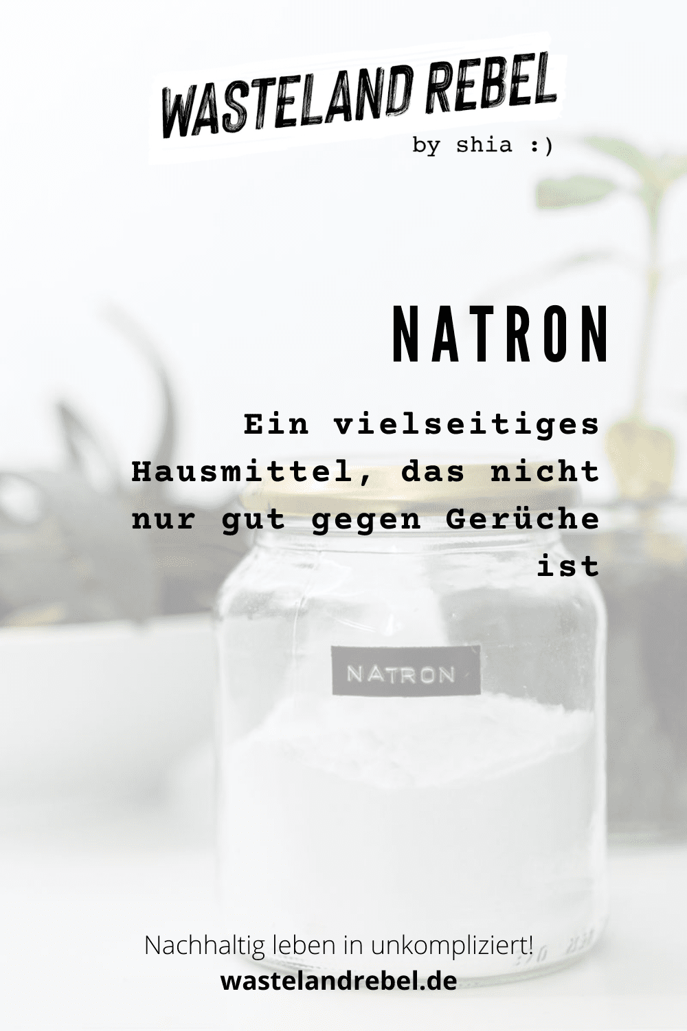 Natron gegen Schweiß und Gerüche - Wasteland Rebel